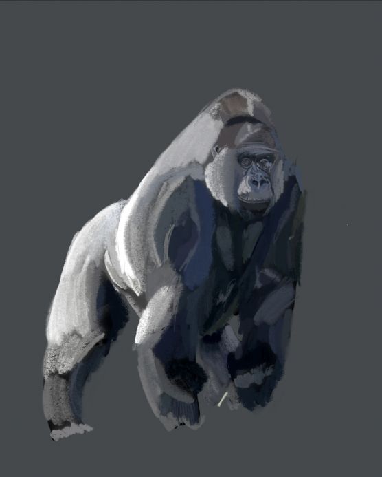 Abstract silver back gorilla