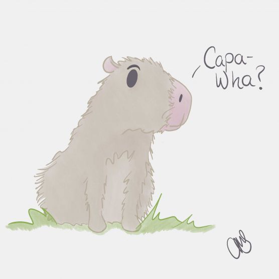 Capybara
