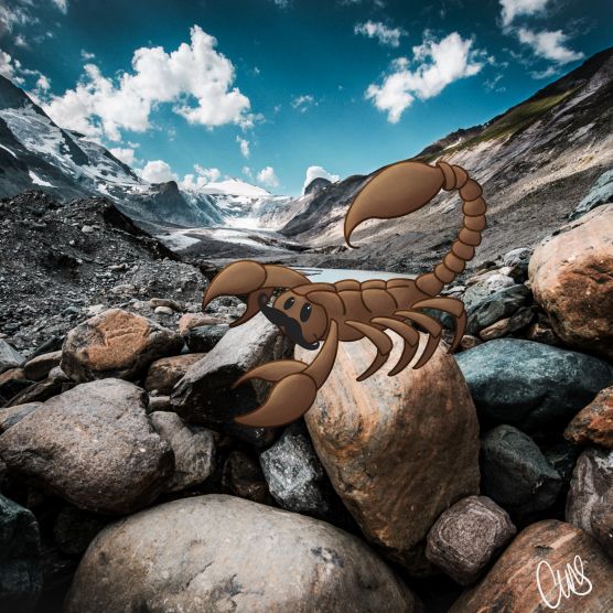 Scorpion on the Alps