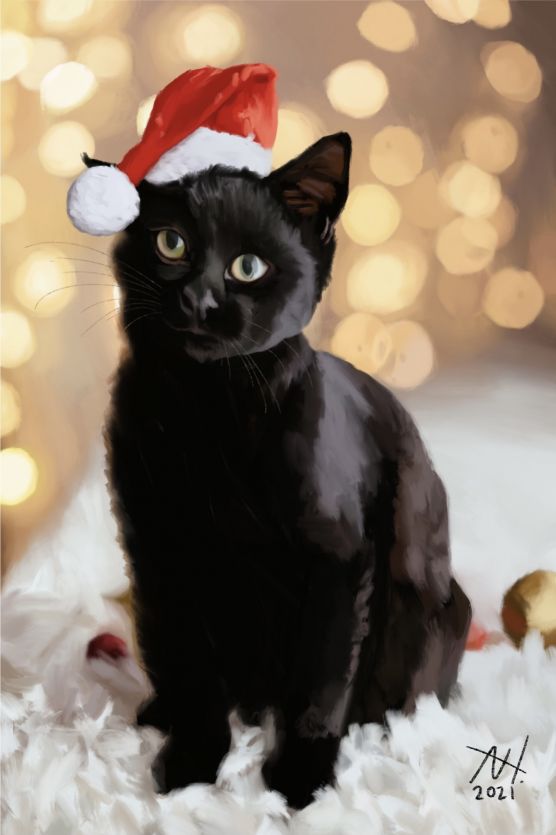 Christmas cat