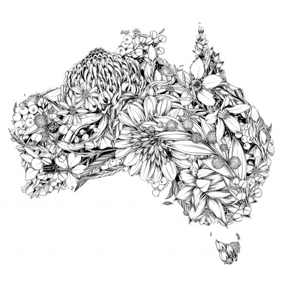 Australia Native Flora