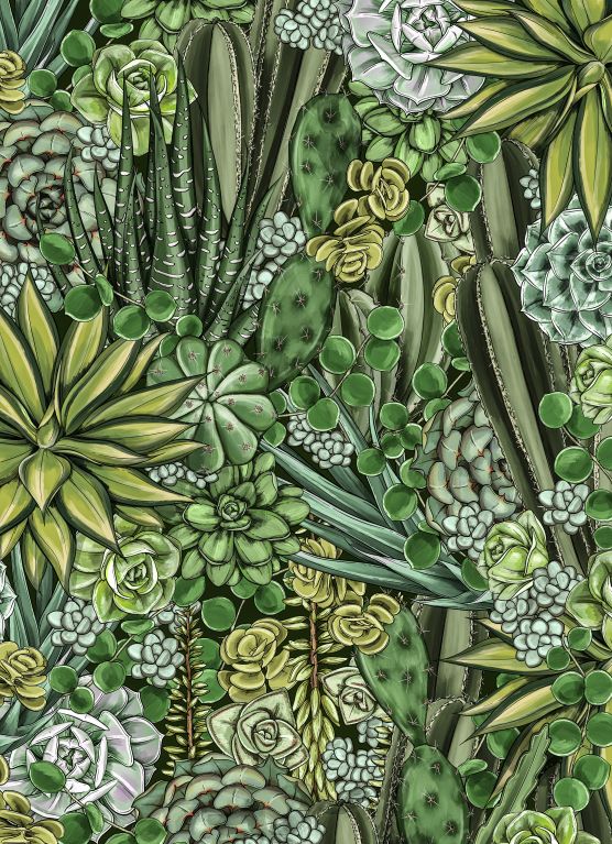 Succulent Pattern