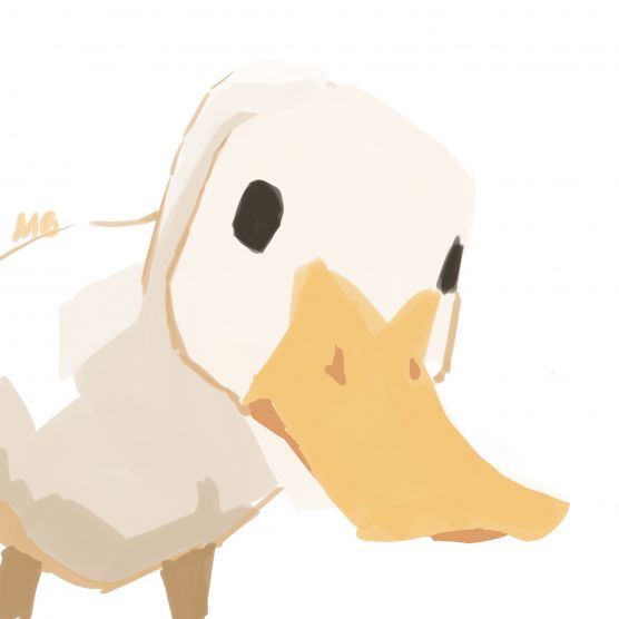 Duck base