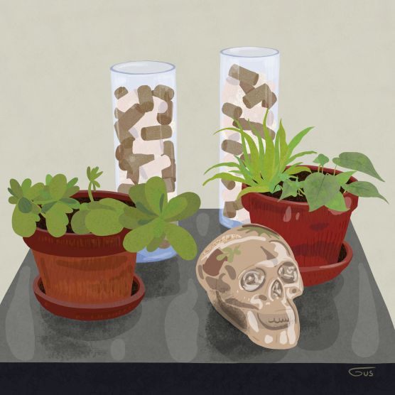 Quarantine Still Life