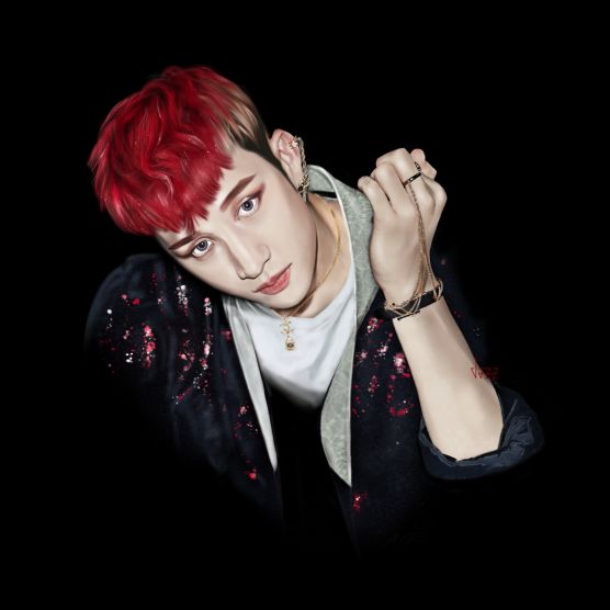 Bang Chan