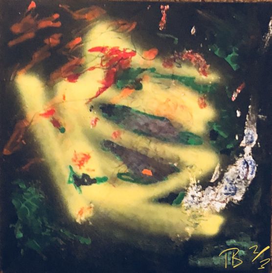 Terry Bauer's Artwork