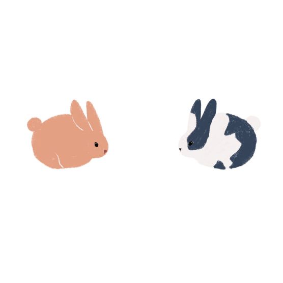 Megan Chou's Artwork