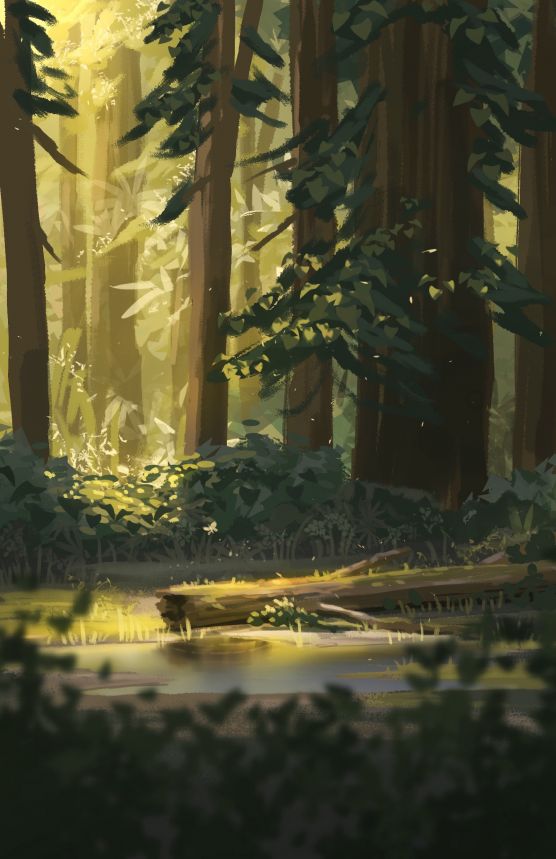 Warm Forest Memory