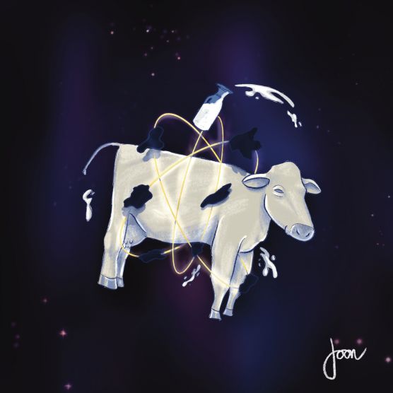 Space cow