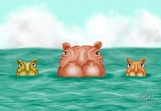 Hippos