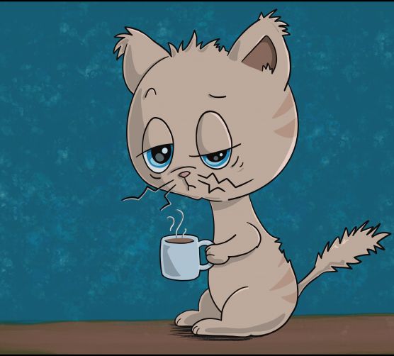 Cat Drinking Coffee