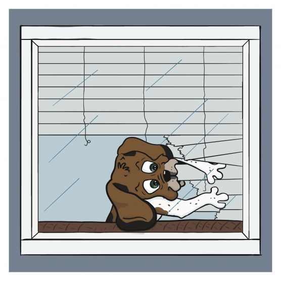 Cartoon Dog Chewing Blinds