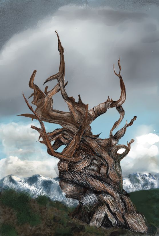 The blasted tree