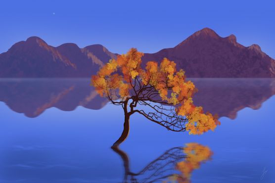 Fiona Russo Art's Artwork