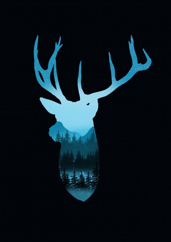 Fiona Russo Art's Artwork