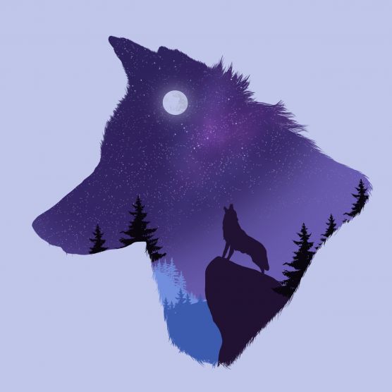 Fiona Russo Art's Artwork