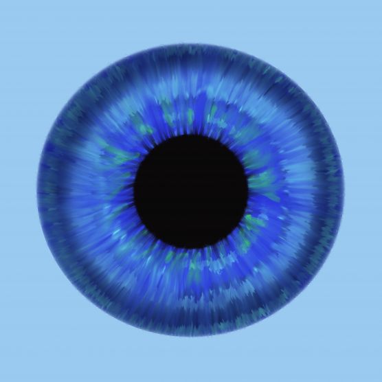 Fiona Russo Art's Artwork