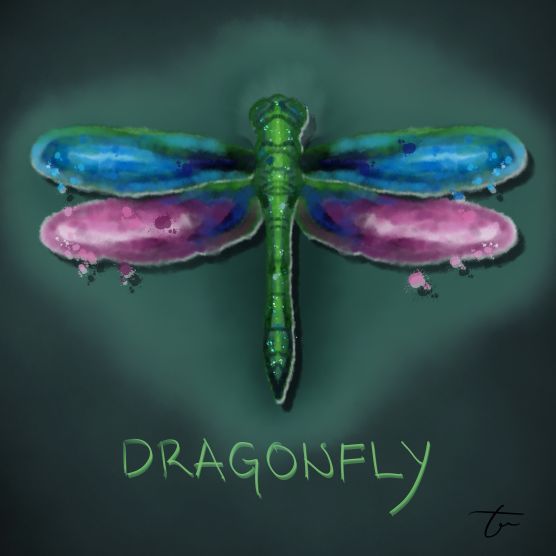 Dragonfly