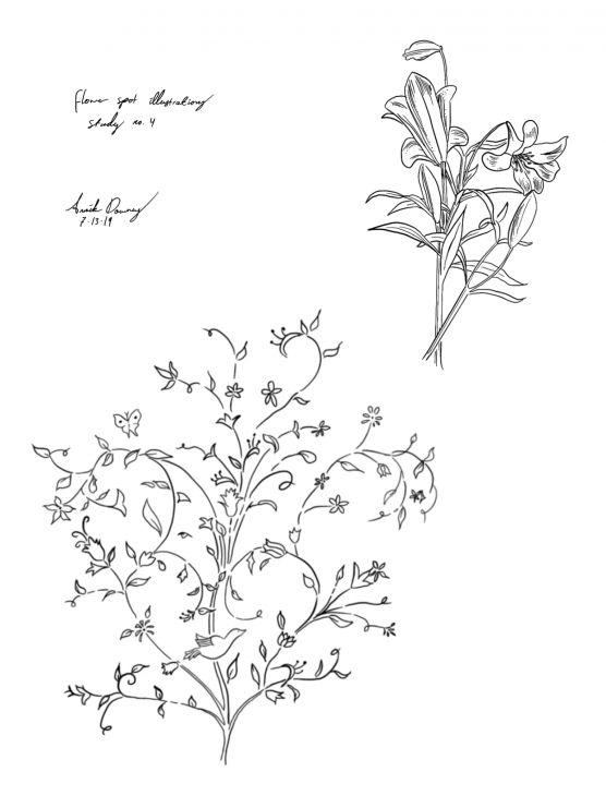 Flower studies #4