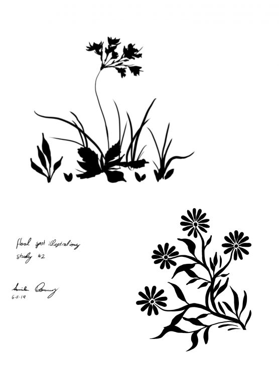 Flower studies 2