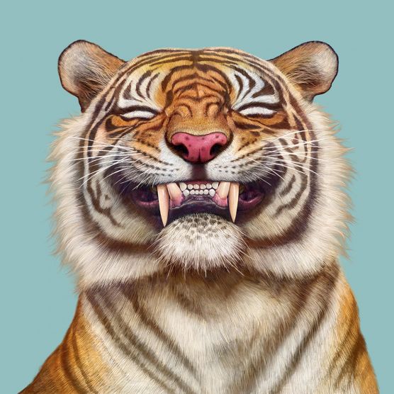 Smiling Tiger