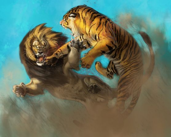 Lion Tiger Lesson