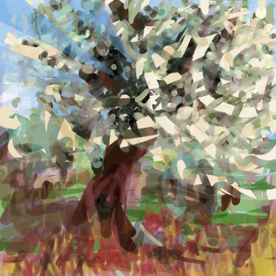 Olive Tree 2