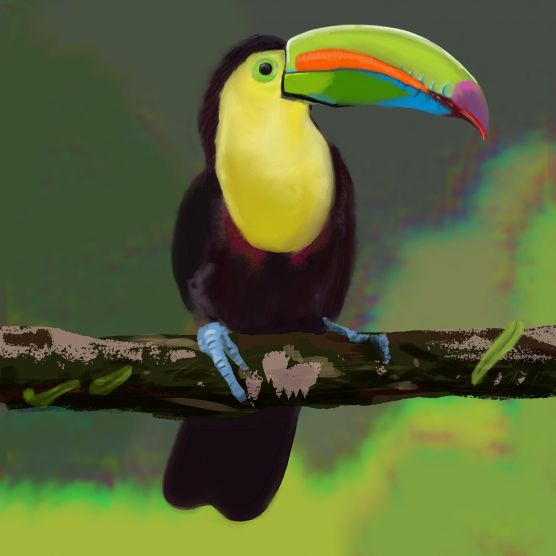 You Toucan to me