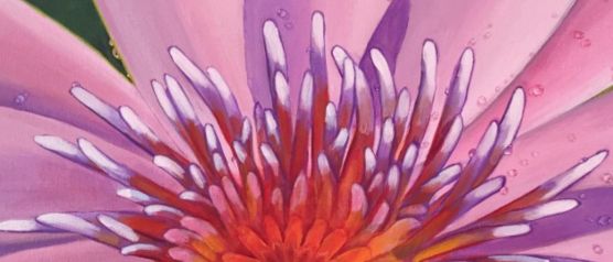 Bloom where you're planted