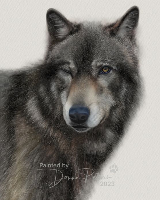 The Winking Wolf