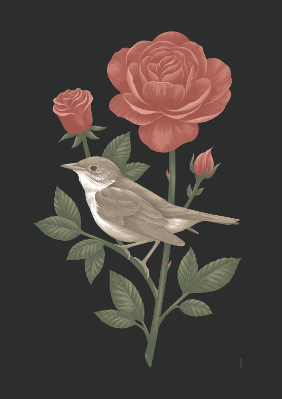 Nightingale