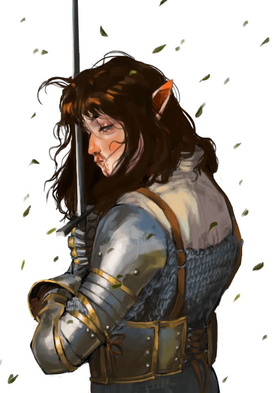 Elf Knight