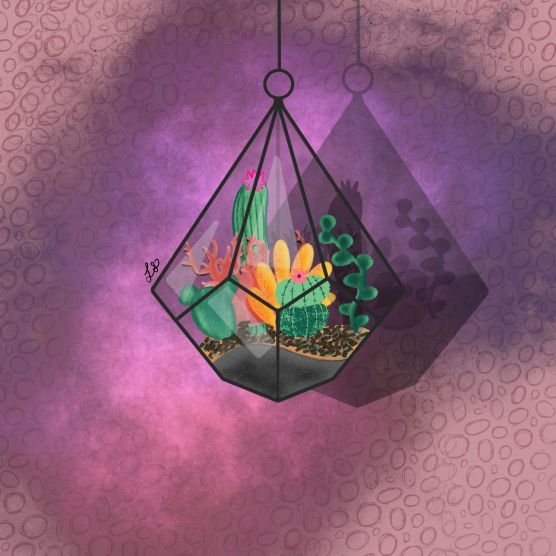 Psychedelic Terrarium