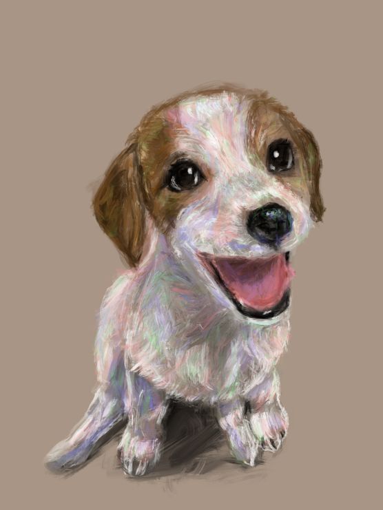 round eyes dog