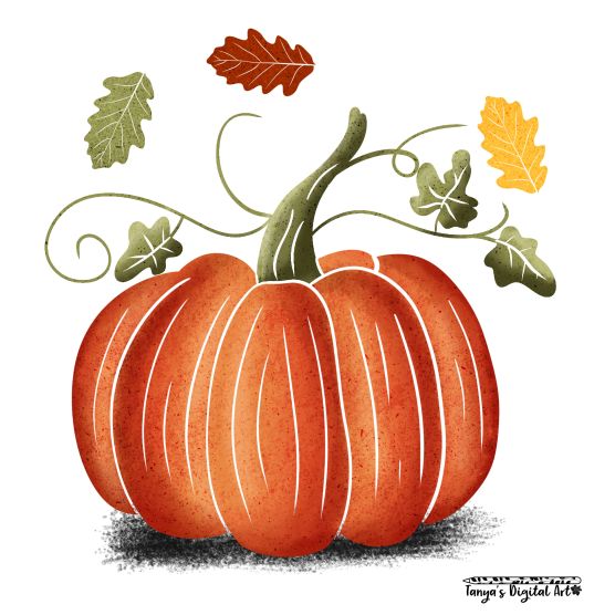 Pumpkin