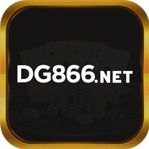 dg866net