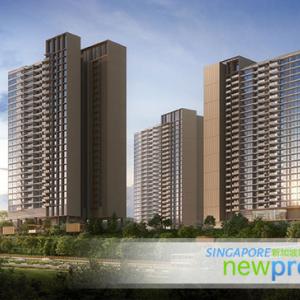 Nava Grove by MCL Land