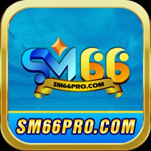 SM66 Pro
