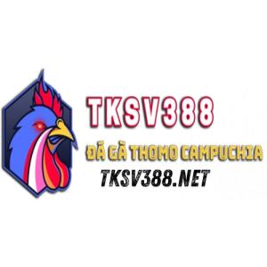 Sv388