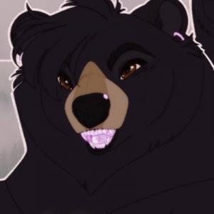 Marty Bear