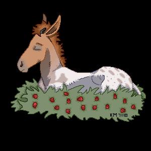 Western Witch Art